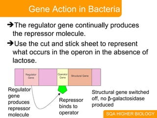 2. Genetic Control | PPT