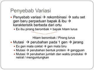 2. genetika | PPT