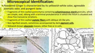 2 ginger, turmeric and liquorice | PPT