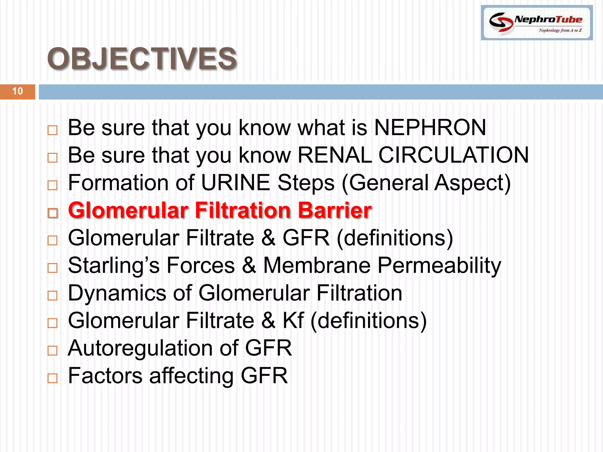 Renal Physiology (II) - Glomerular Structure & Filtration - Dr. Gawad | PPT
