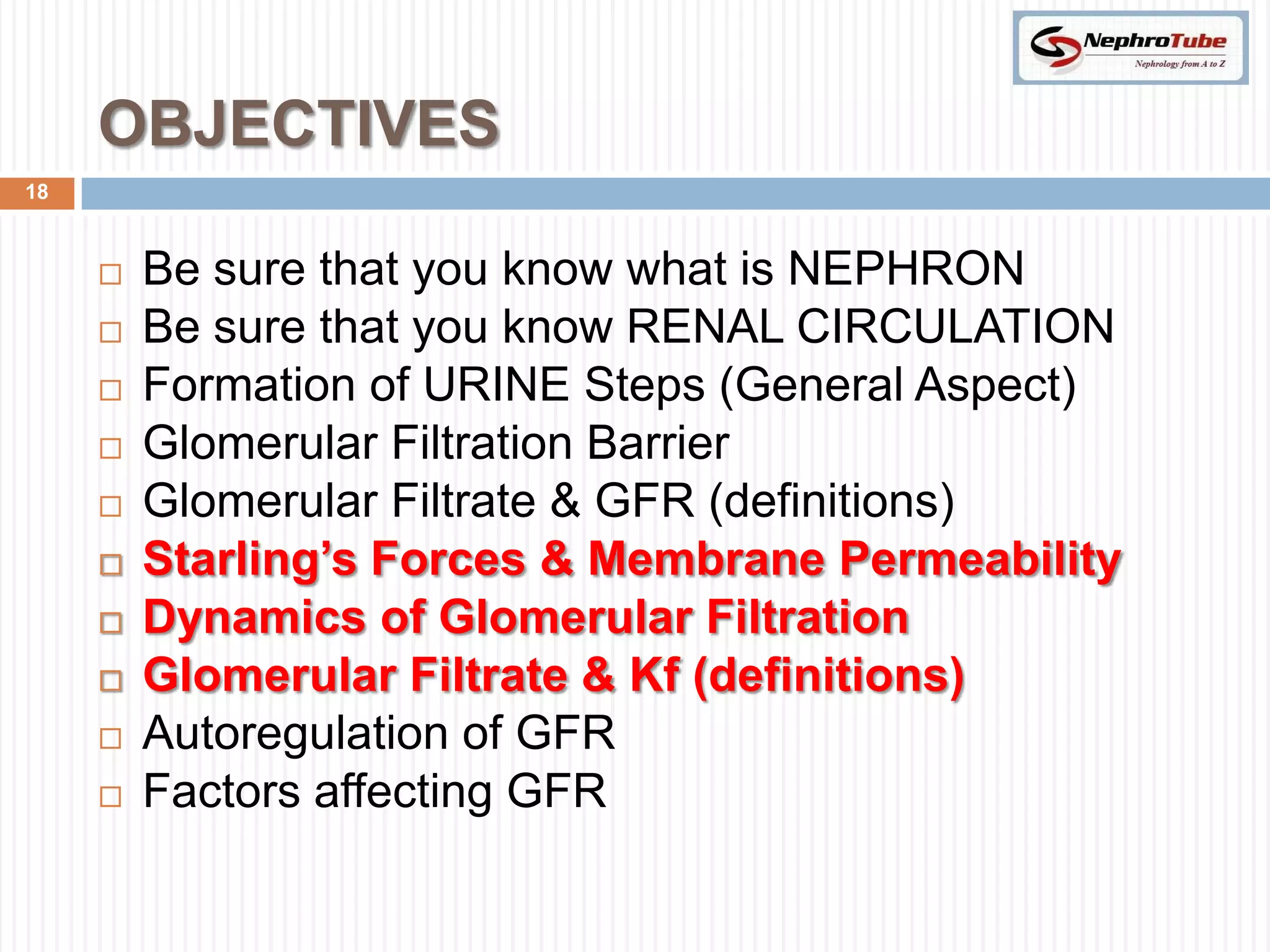 Renal Physiology (II) - Glomerular Structure & Filtration - Dr. Gawad | PPT