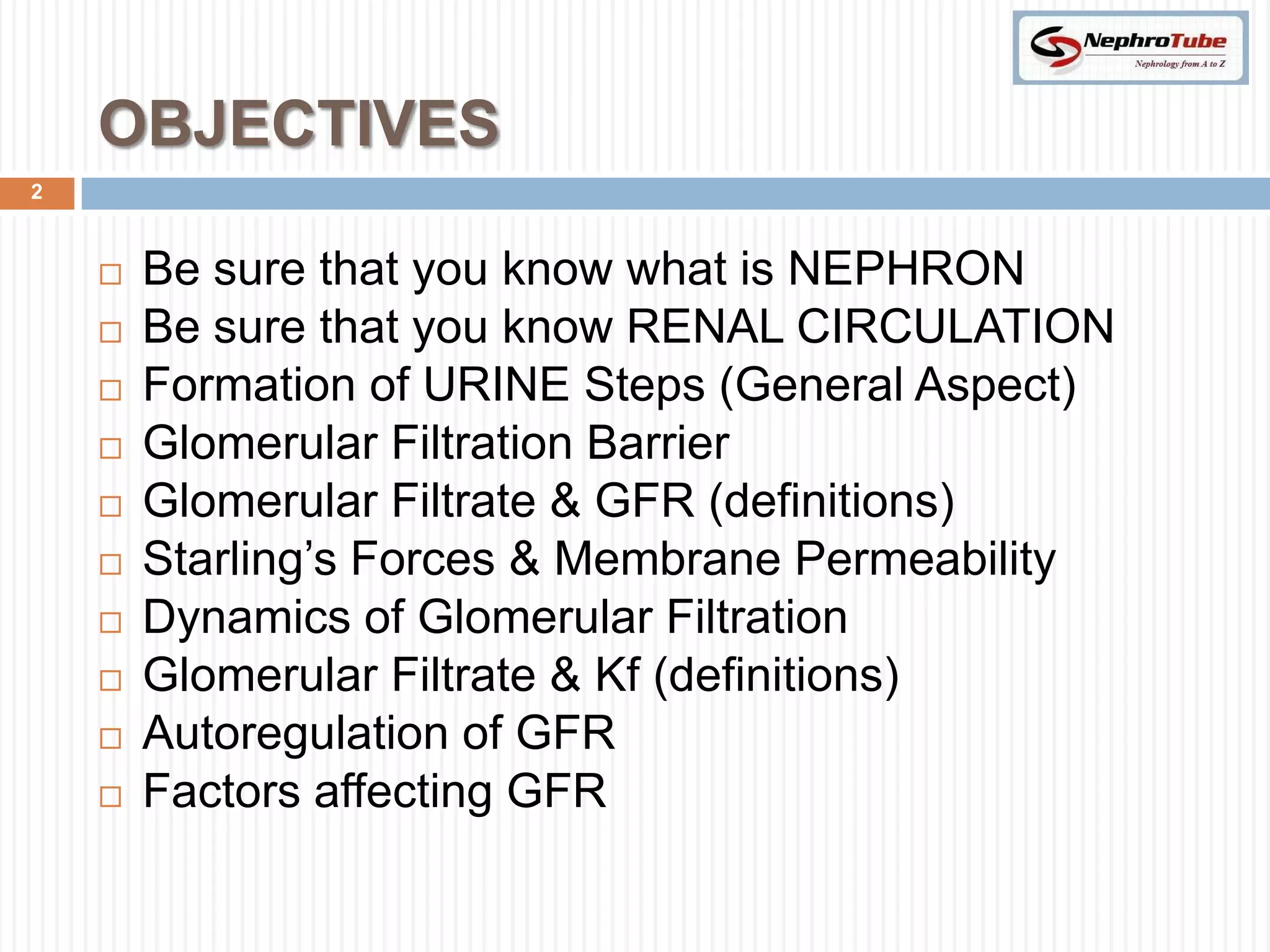 Renal Physiology (II) - Glomerular Structure & Filtration - Dr. Gawad | PPT