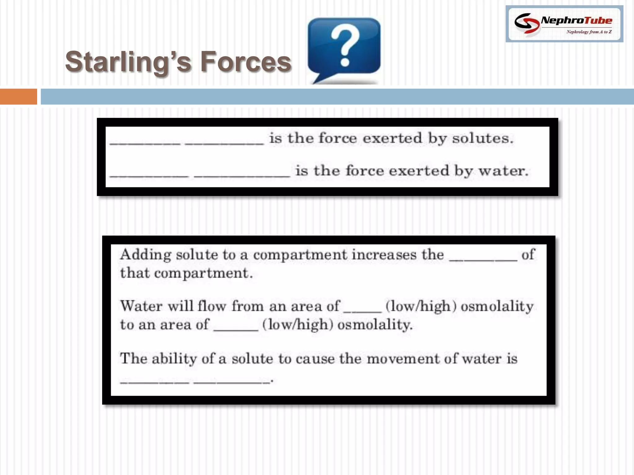 Renal Physiology (II) - Glomerular Structure & Filtration - Dr. Gawad | PPT