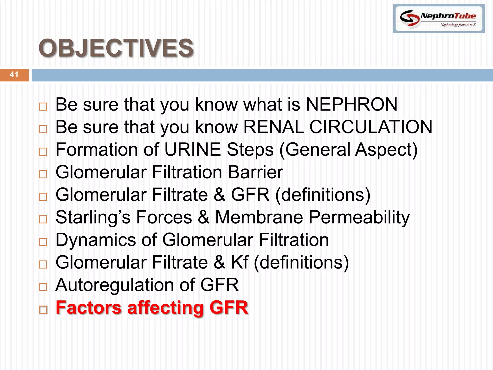 Renal Physiology (II) - Glomerular Structure & Filtration - Dr. Gawad | PPT