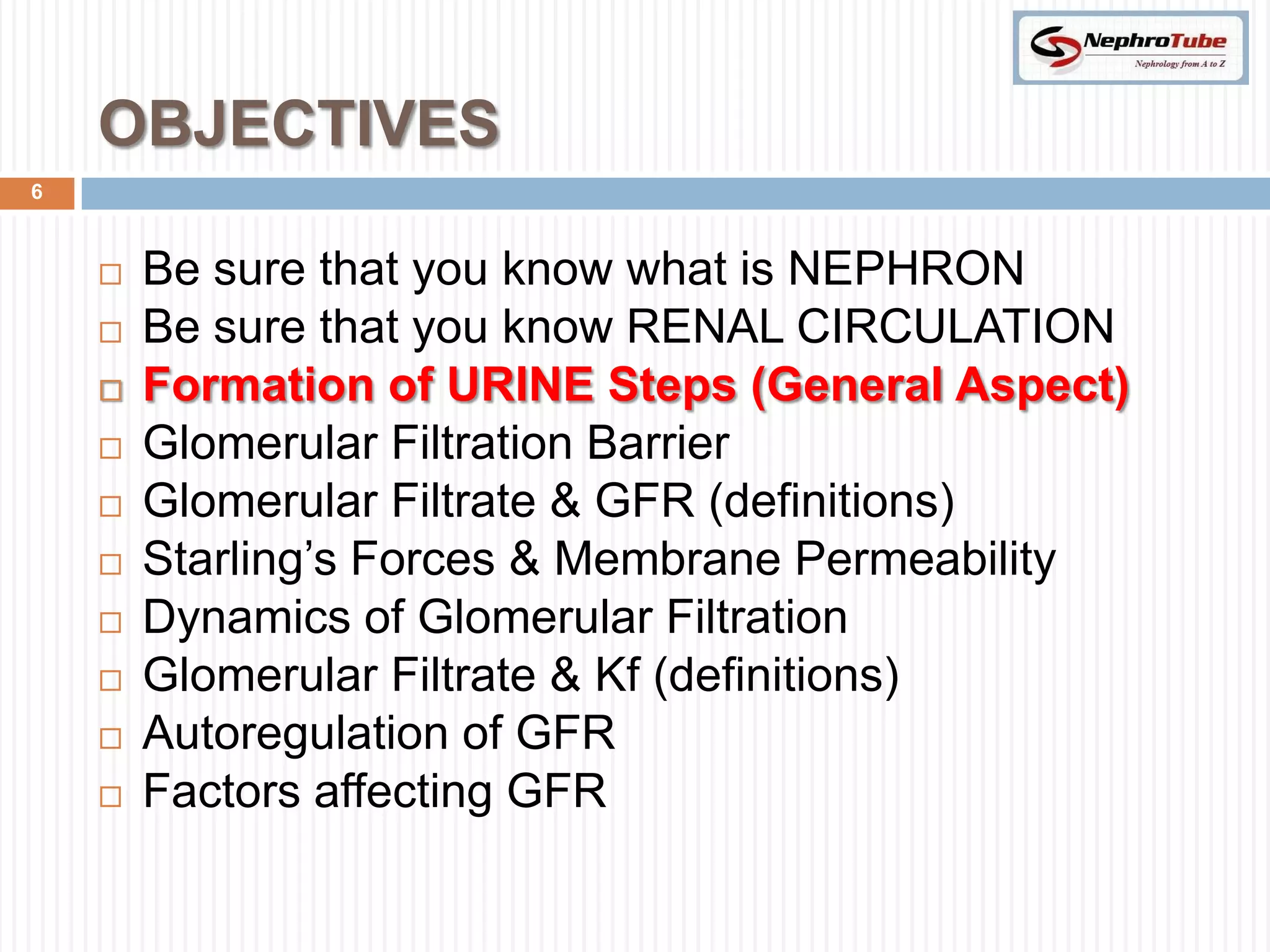 Renal Physiology (II) - Glomerular Structure & Filtration - Dr. Gawad | PPT