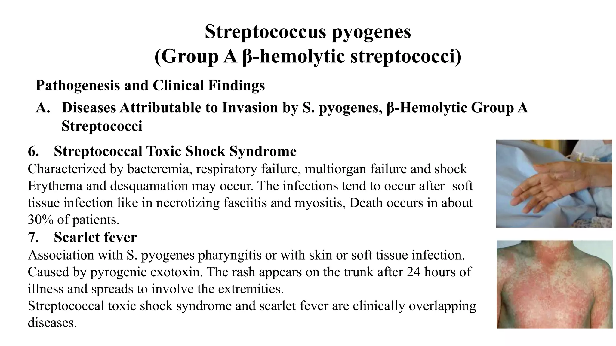 Gram Positive Cocci-Streptococcus | PPTX