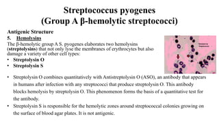 Gram Positive Cocci-Streptococcus | PPTX