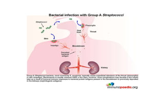 Gram Positive Cocci-Streptococcus | PPTX