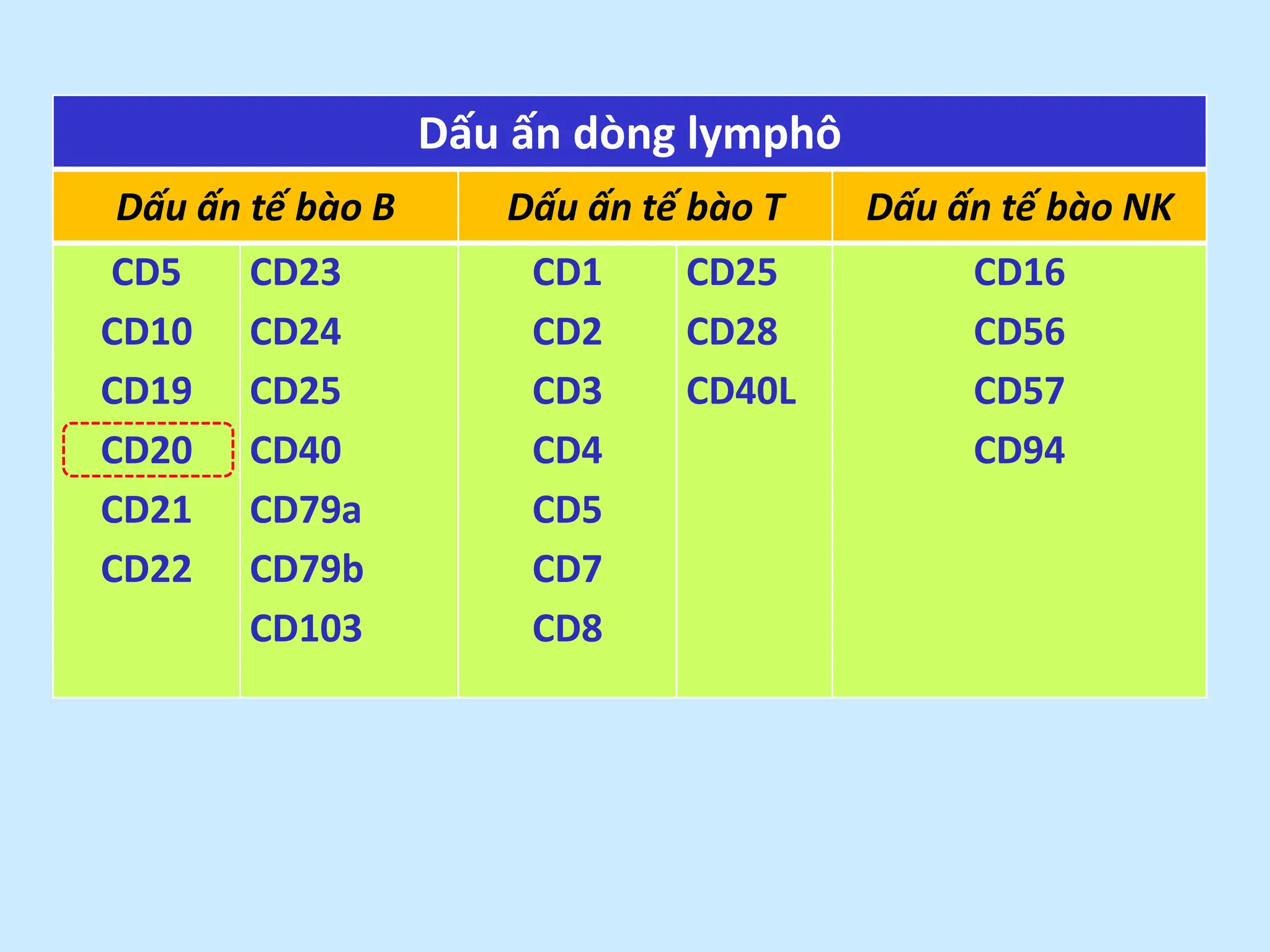 2-HEMOPOIESIS_2017.pptx