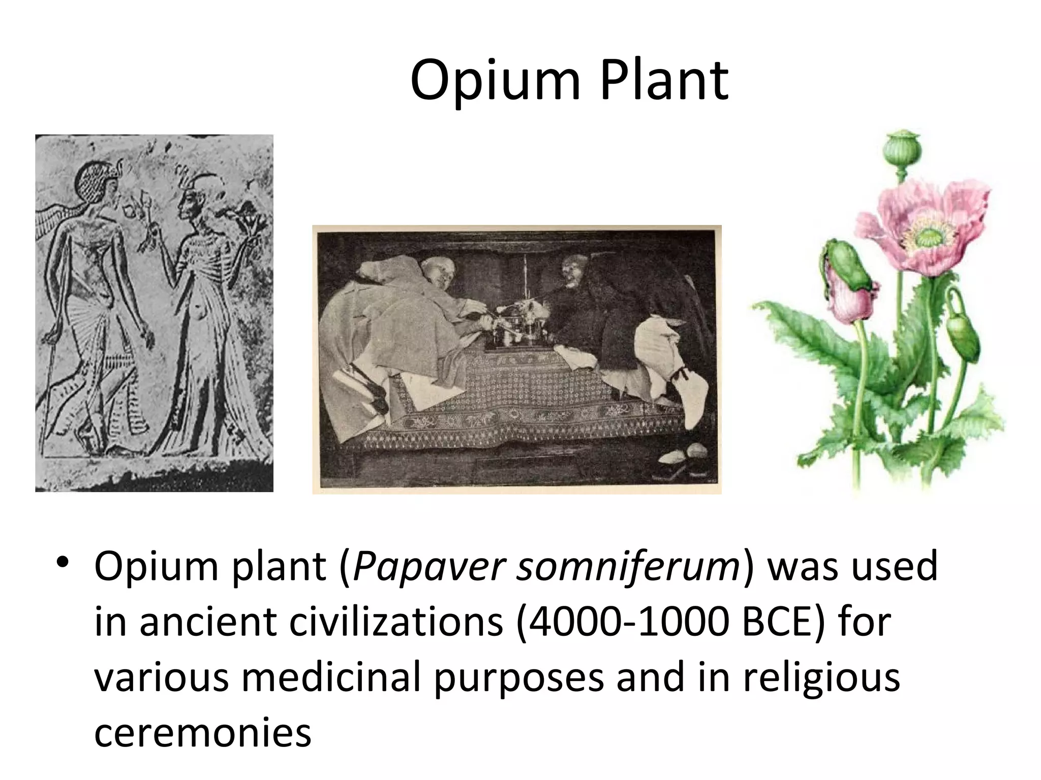 History of drug discovery | PPT