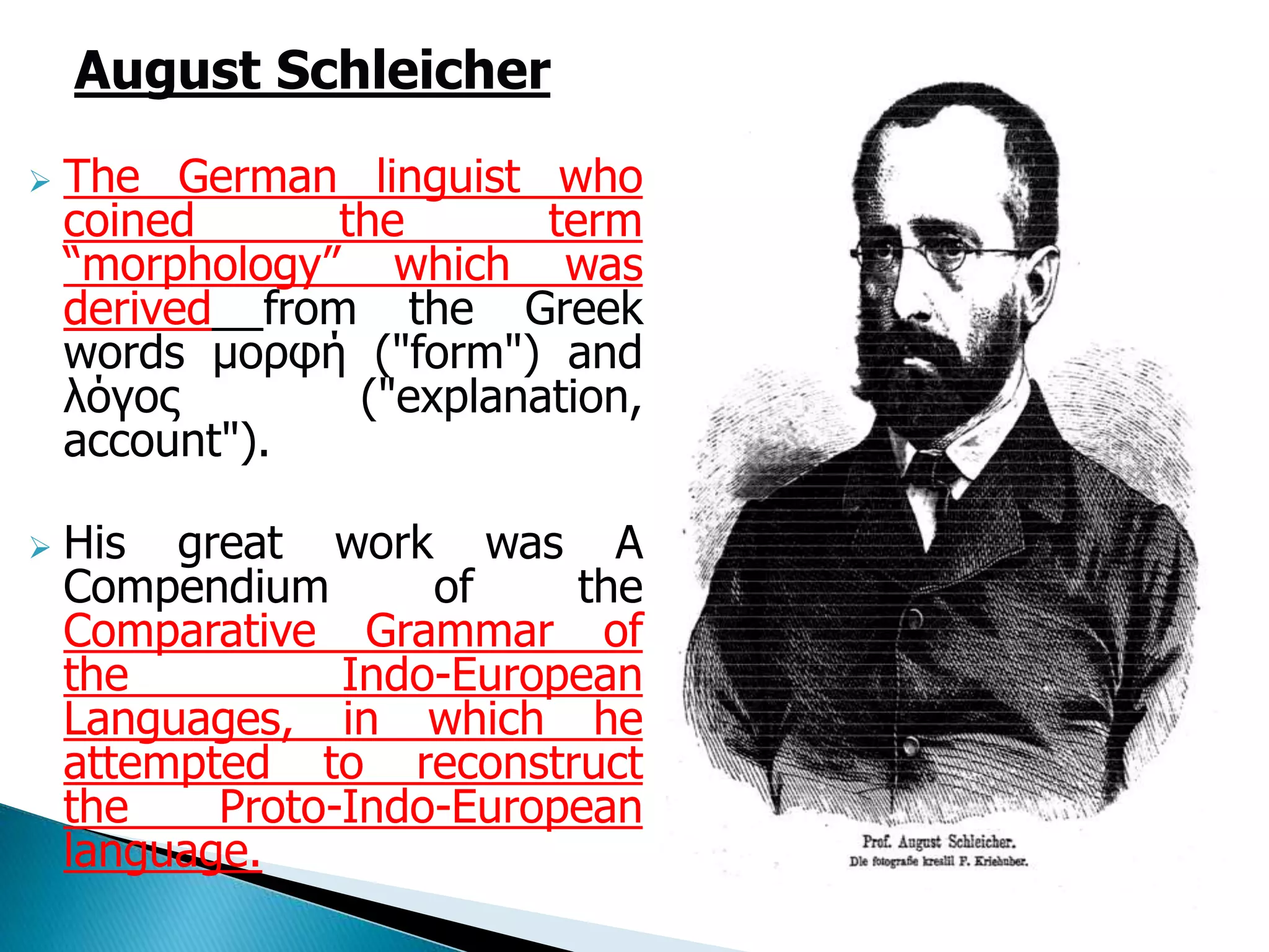 History of morphology | PPTX