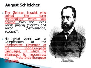 History of morphology | PPTX