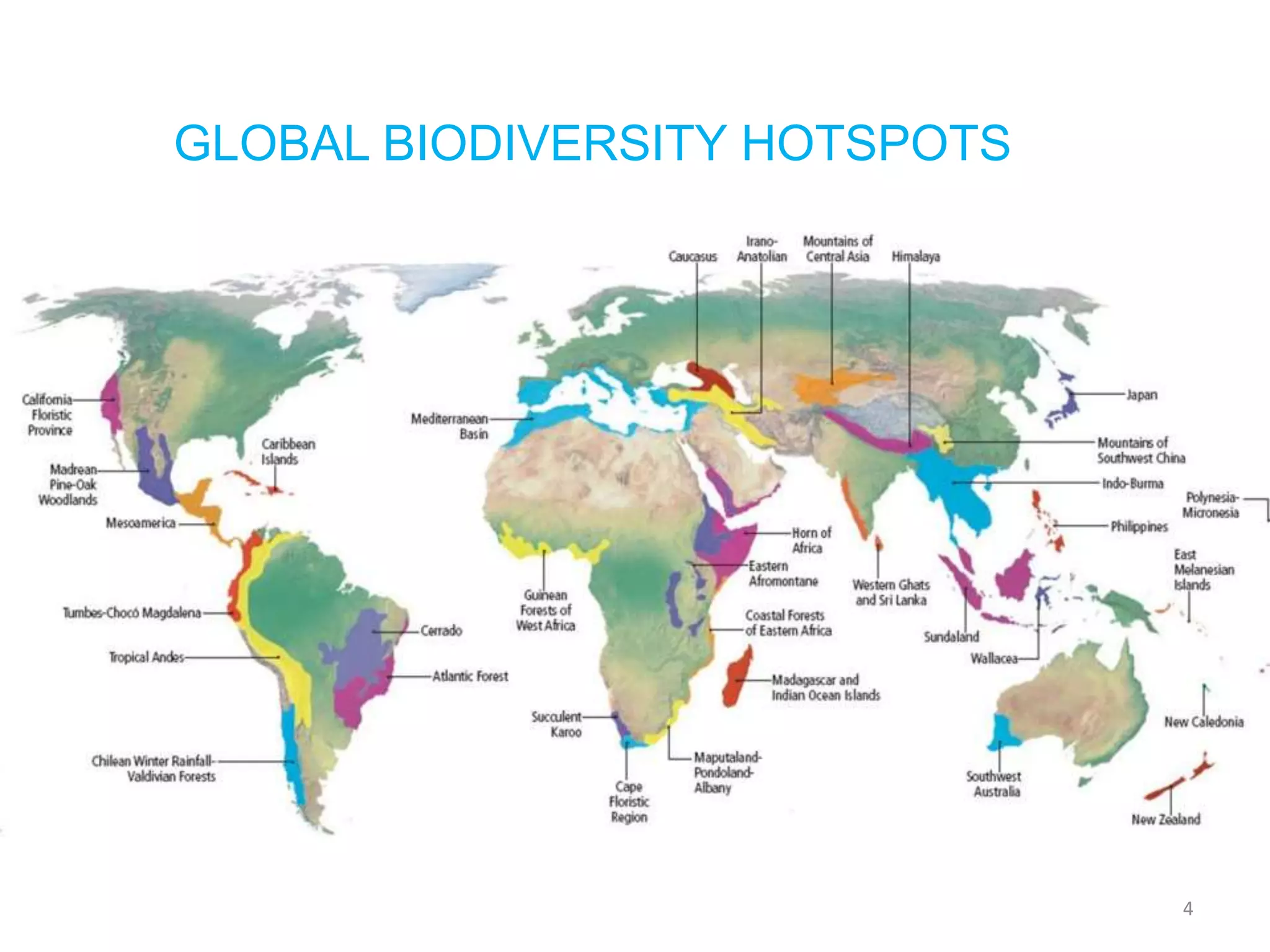 2 hotspots of biodiversity | PPT | Free Download