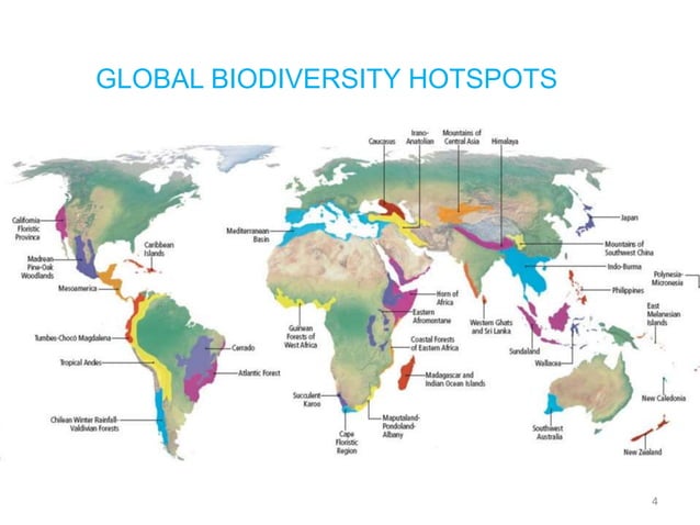 2 hotspots of biodiversity | PPT