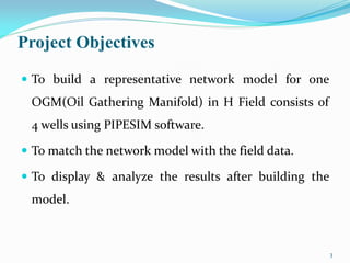 how to build network model using pipsim | PDF