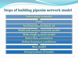 how to build network model using pipsim | PDF
