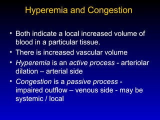 2 hyperemia-congestion | PPT