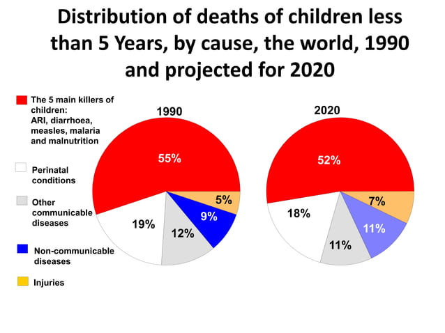 Integrated Management of Childhood Illness (IMCI) | PDF