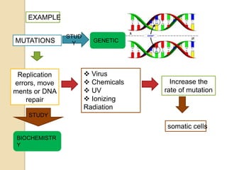 2 importance of the biochemistry | PPT