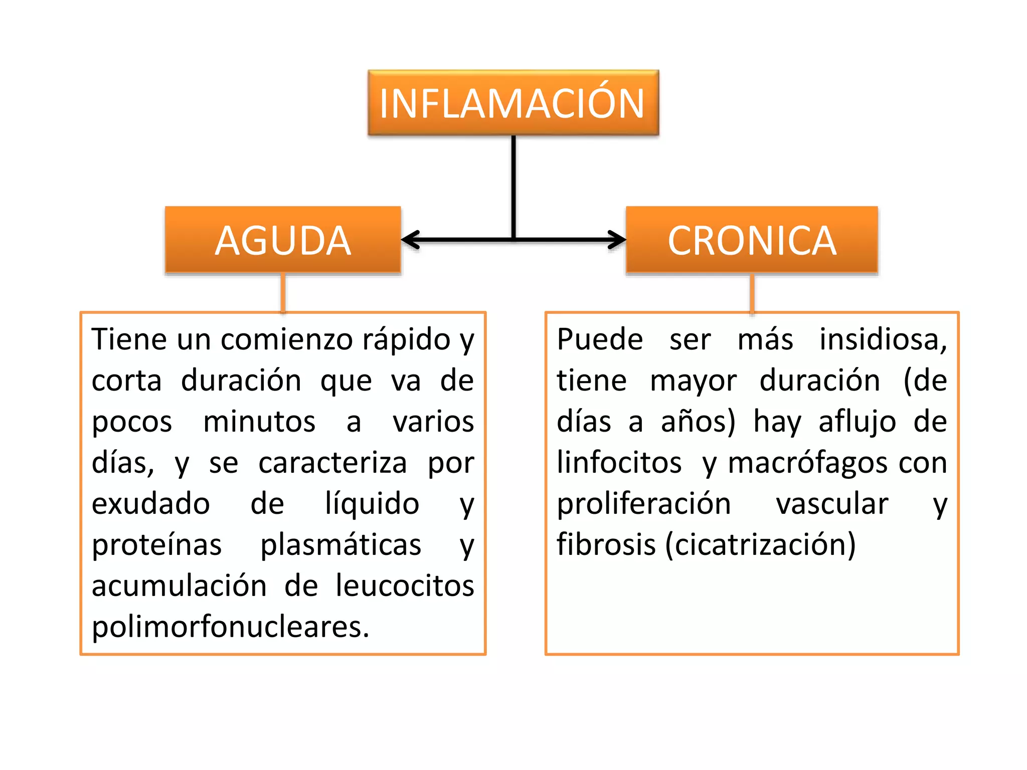 Introducción a la Inflamación | PPTX