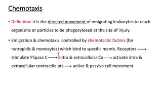 2 inflammation | PPT