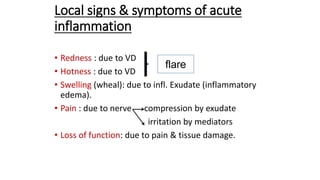 2 inflammation | PPTX