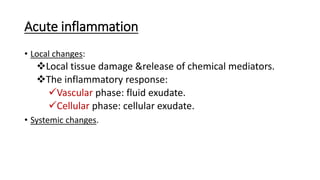 2 inflammation | PPT