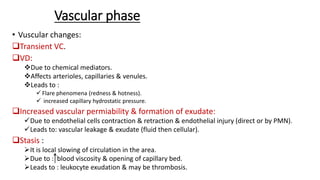 2 inflammation | PPT