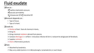 2 inflammation | PPT