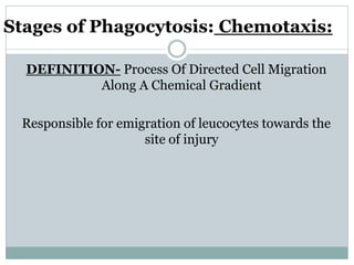 2. inflammation cellular events dr ashutosh kumar | PDF