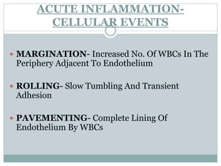 2. inflammation cellular events dr ashutosh kumar | PDF