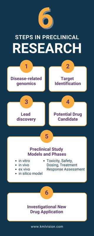 6 Steps in Preclinical Research | PDF
