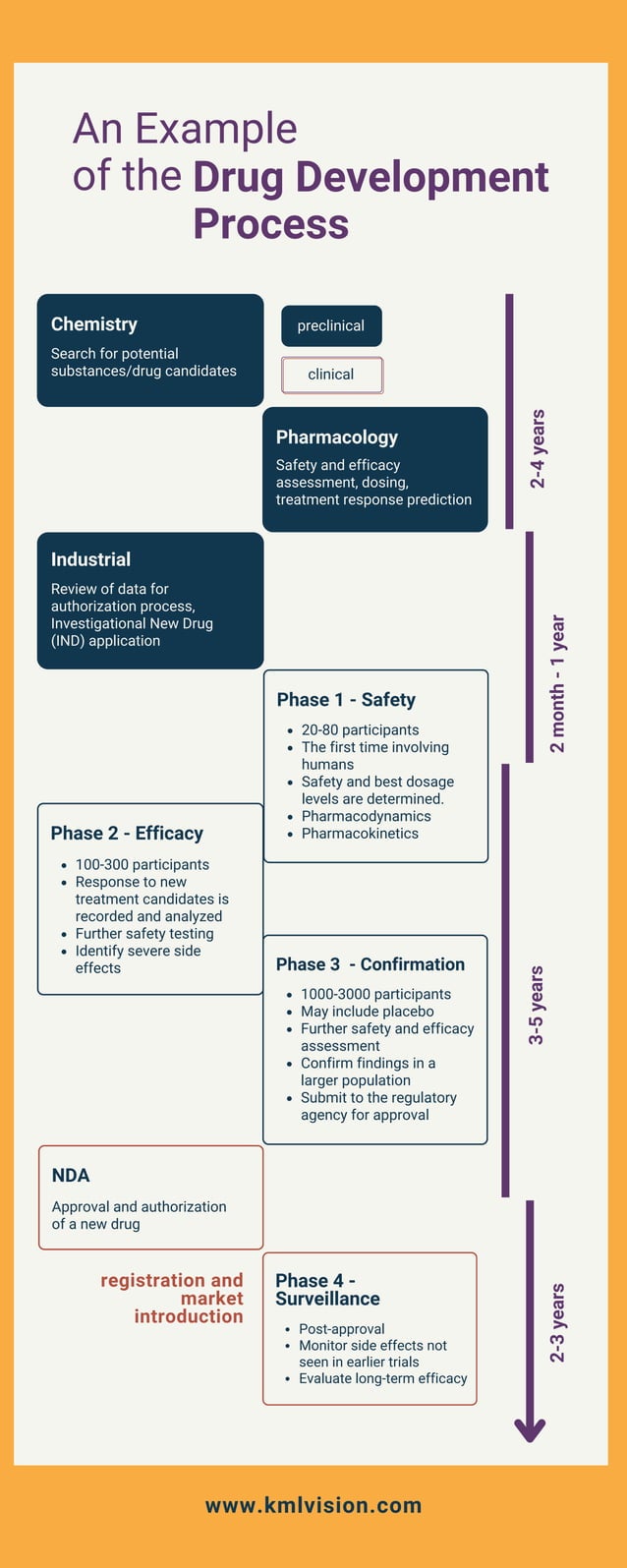 An Example of the Drug Development Process - Infographic | PDF