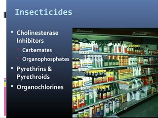 Insecticides and OP Poisoning | PPT