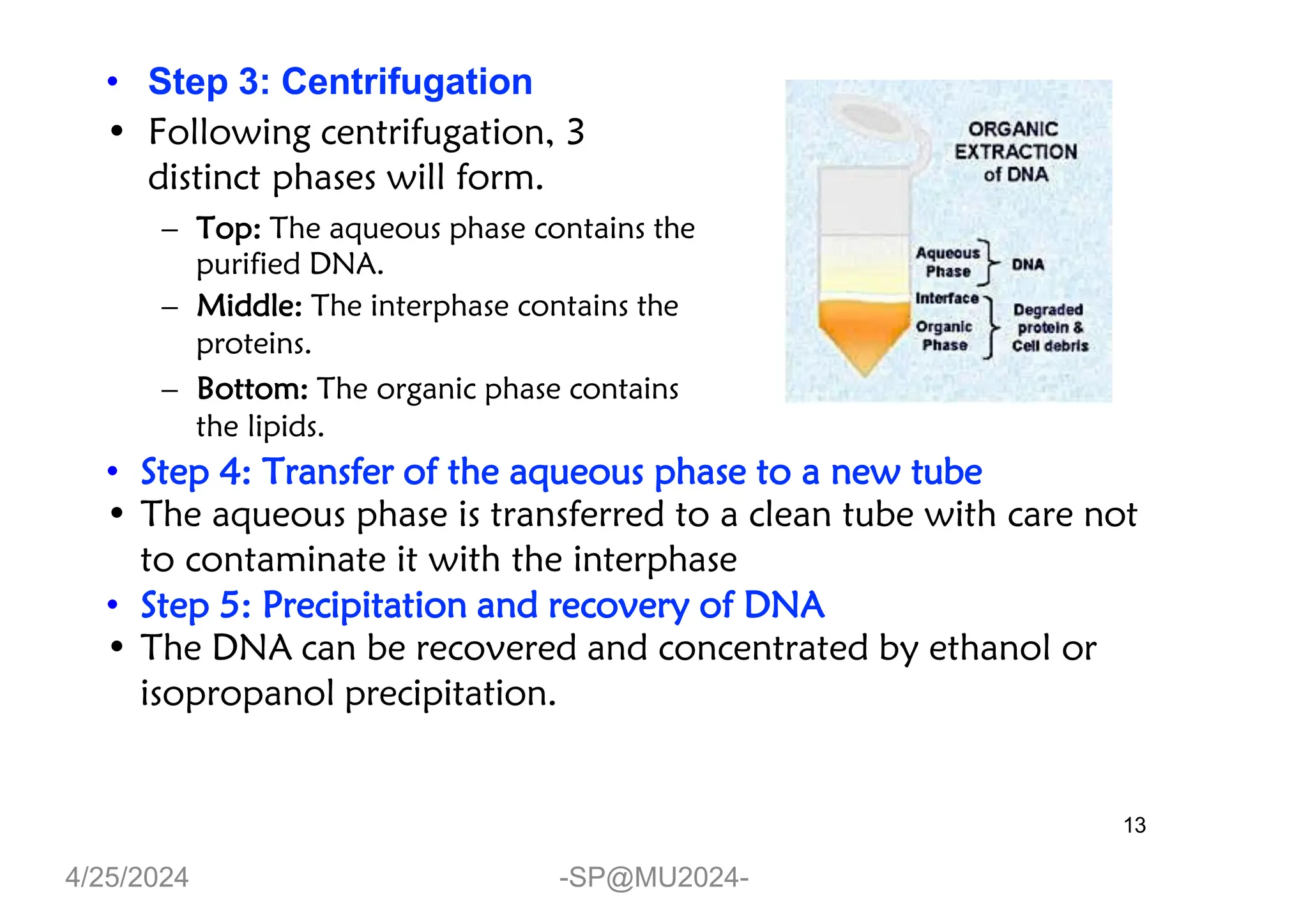 2-Isolation, Extraction and Purification of Nucleic acids.pdf