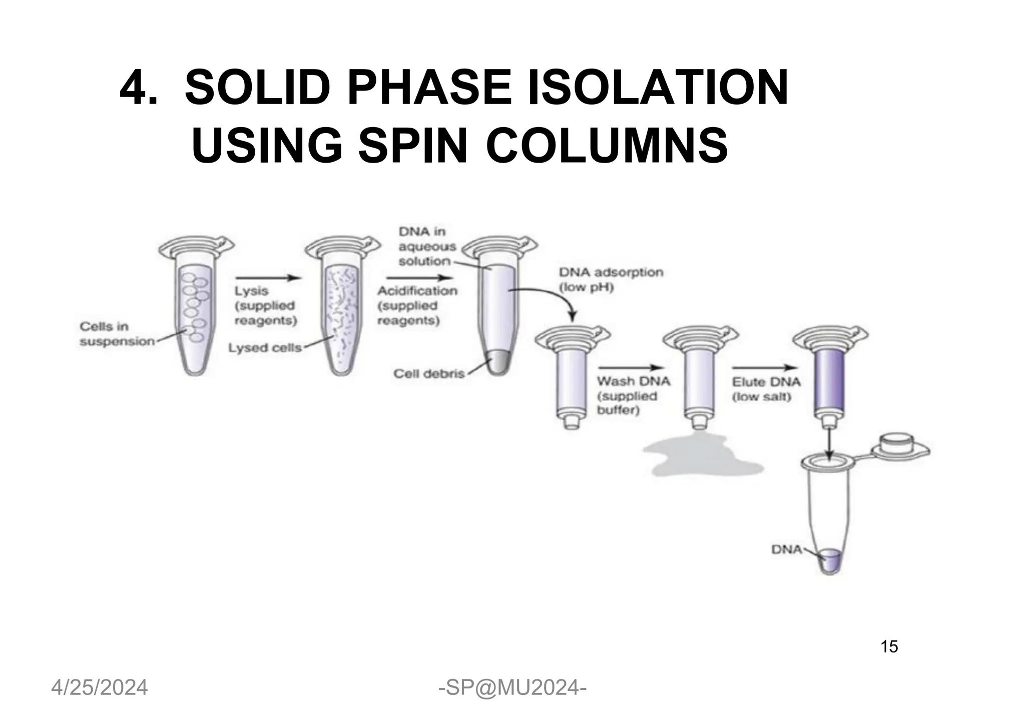 2-Isolation, Extraction and Purification of Nucleic acids.pdf
