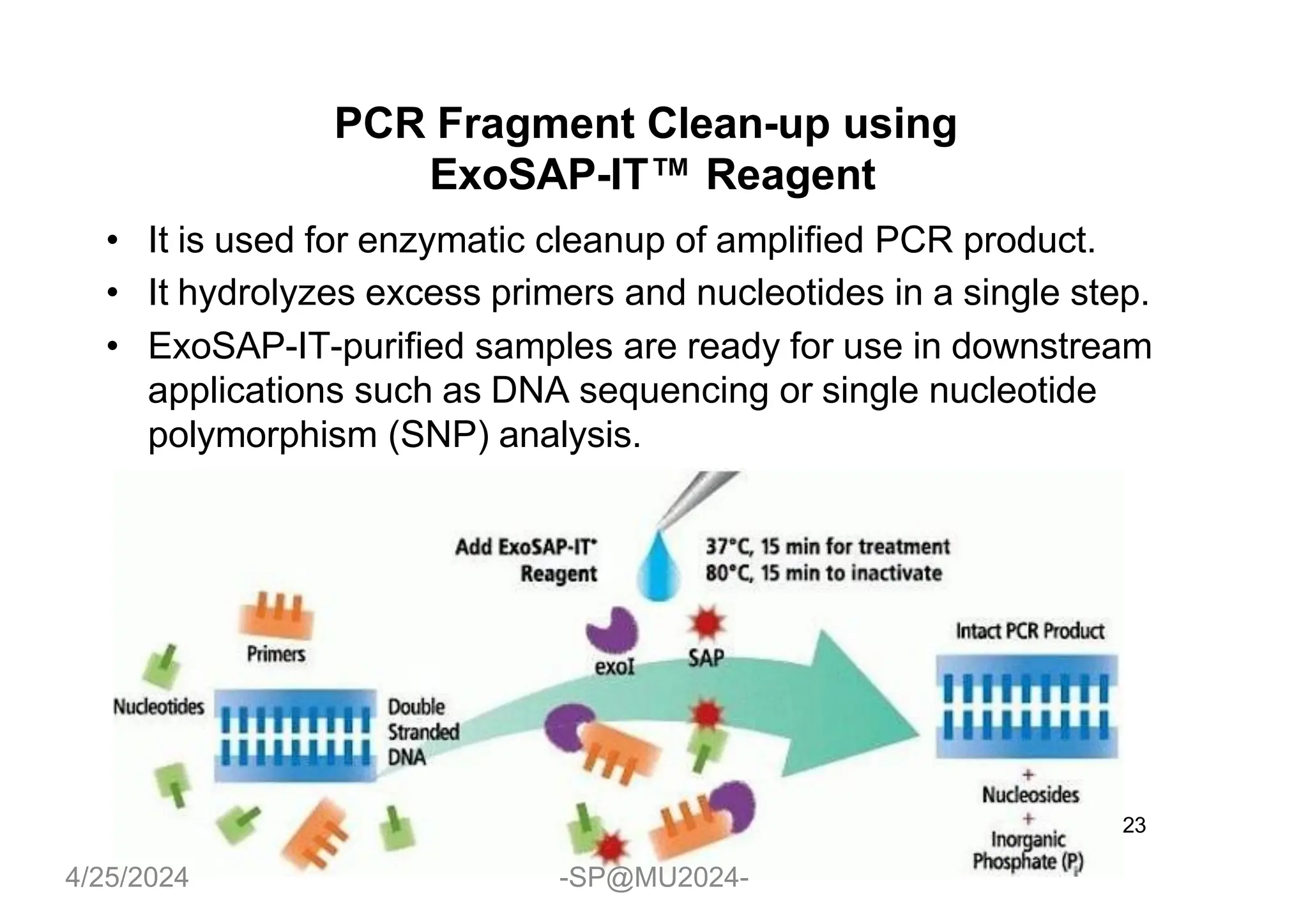 2-Isolation, Extraction and Purification of Nucleic acids.pdf