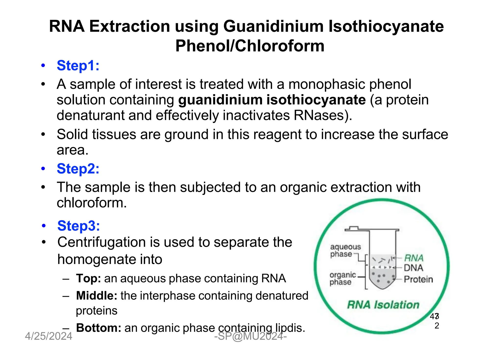 2-Isolation, Extraction and Purification of Nucleic acids.pdf