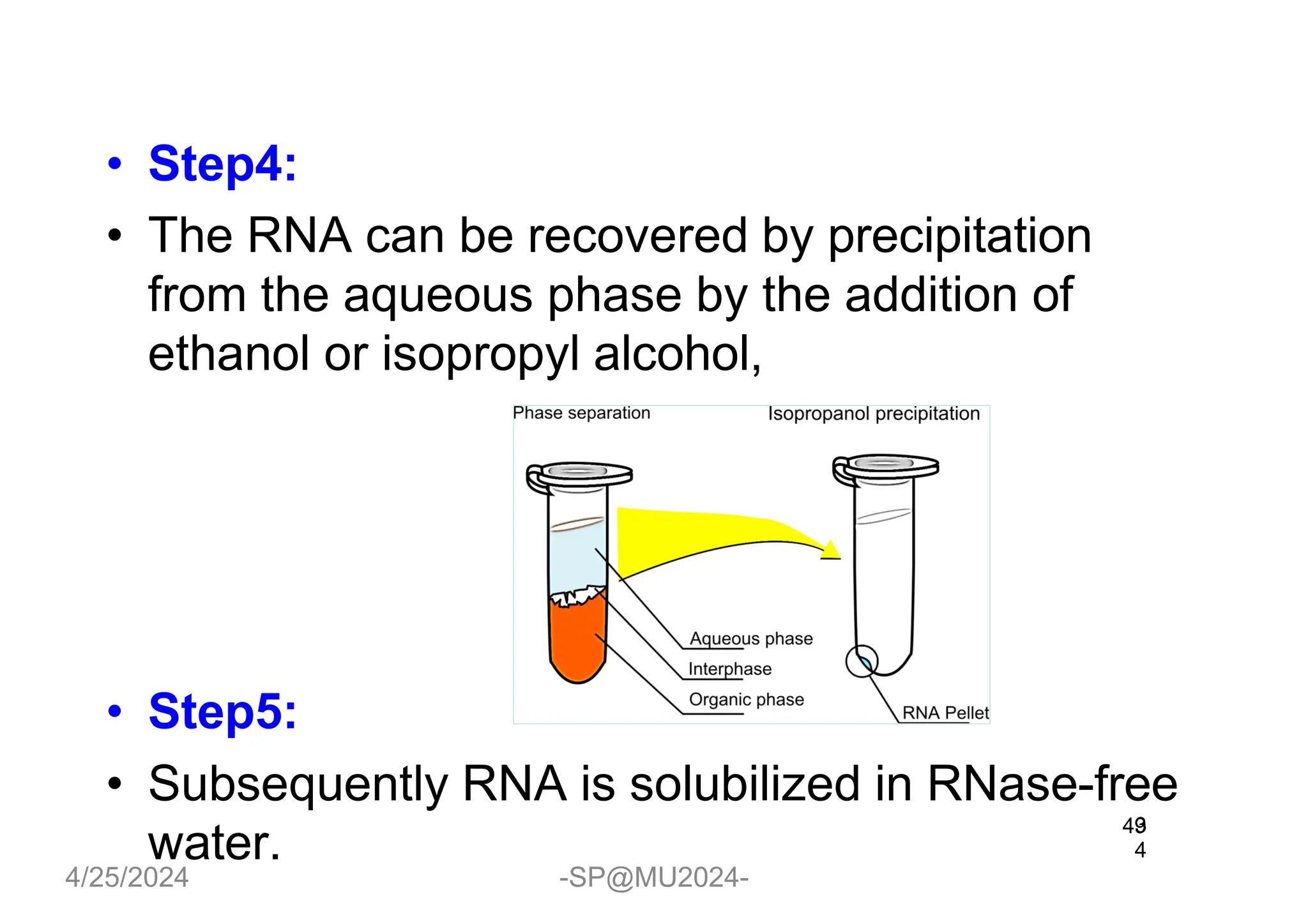 2-Isolation, Extraction and Purification of Nucleic acids.pdf