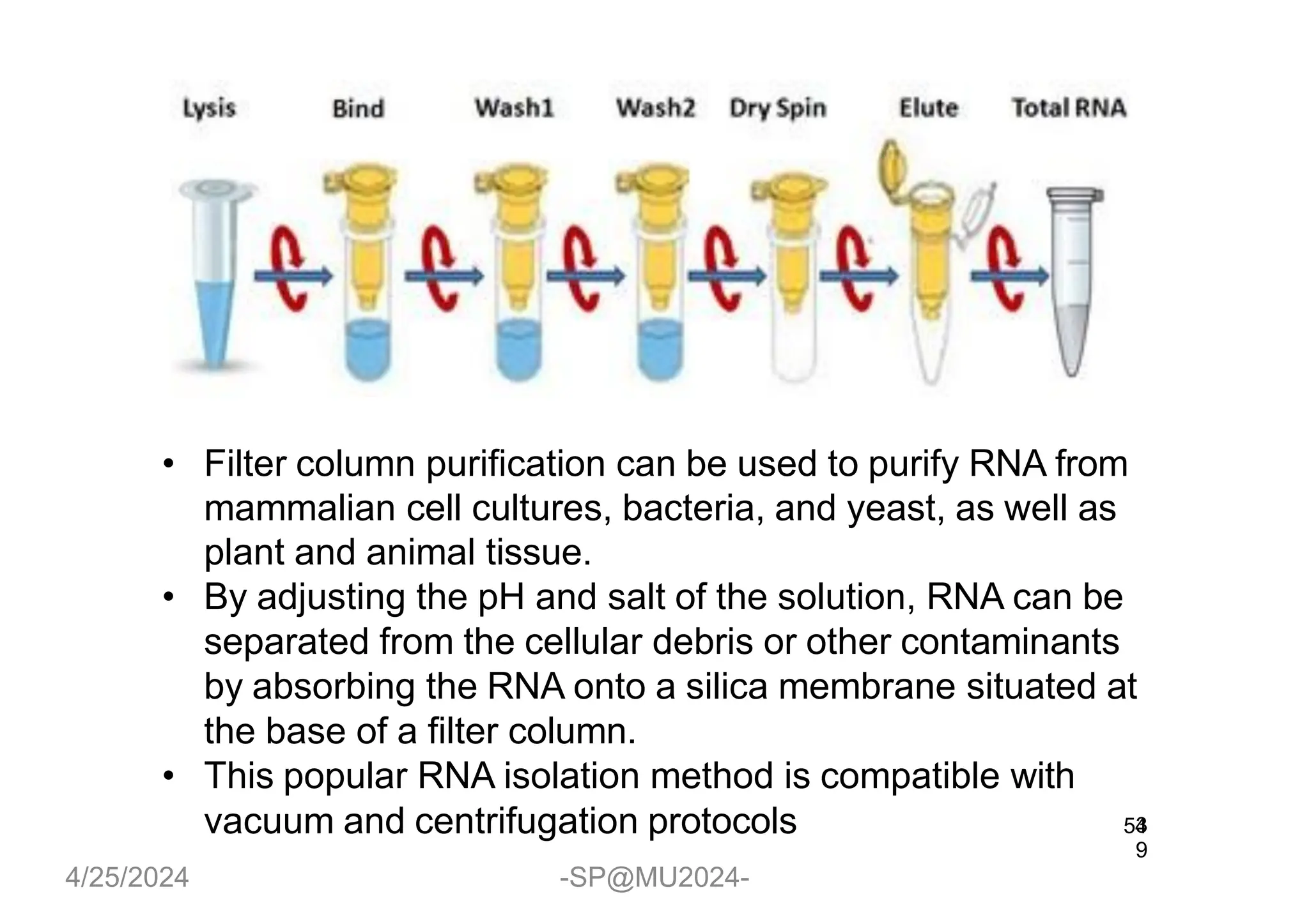 2-Isolation, Extraction and Purification of Nucleic acids.pdf