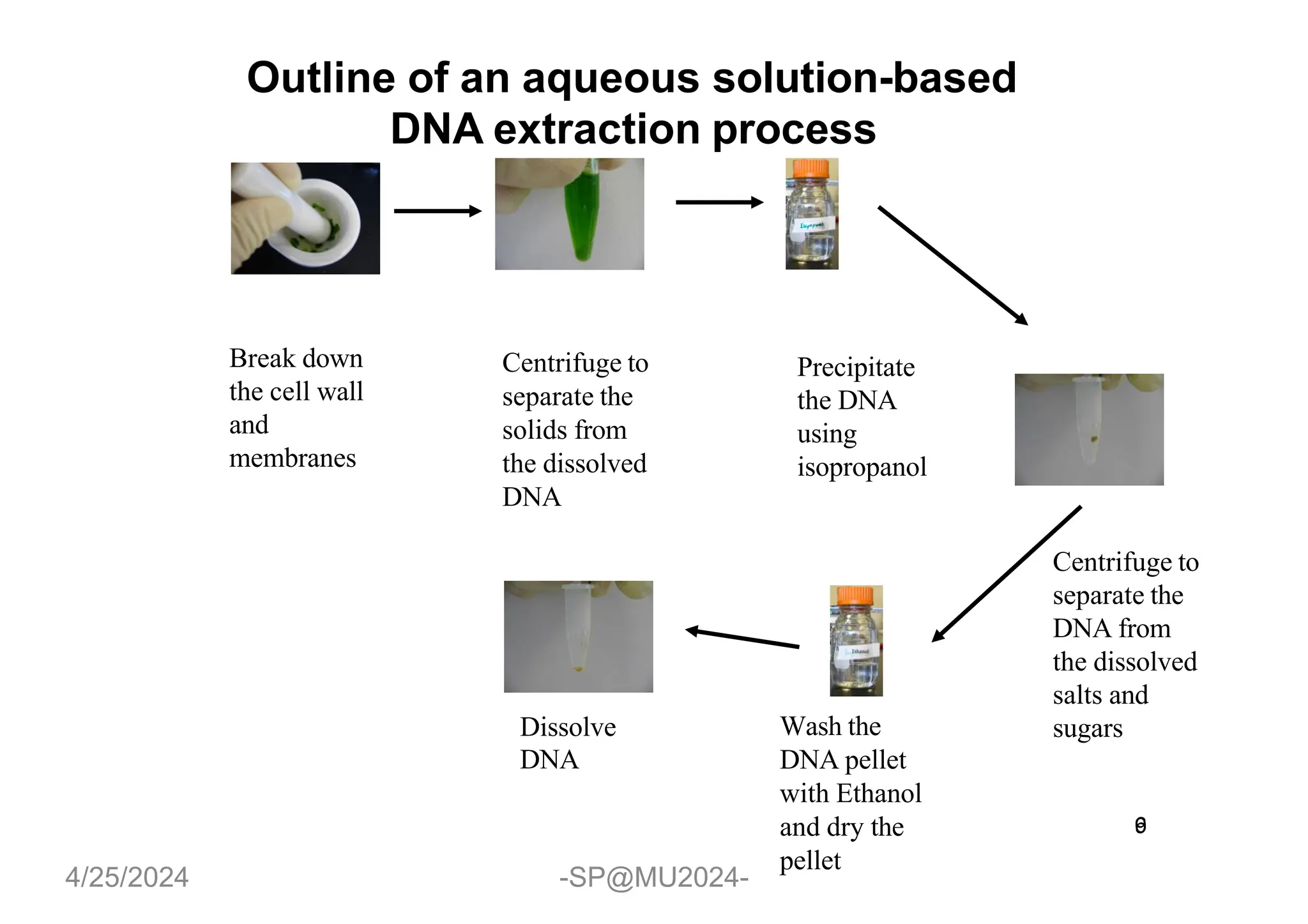 2-Isolation, Extraction and Purification of Nucleic acids.pdf