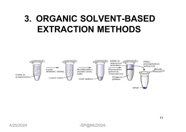 2-Isolation, Extraction and Purification of Nucleic acids.pdf