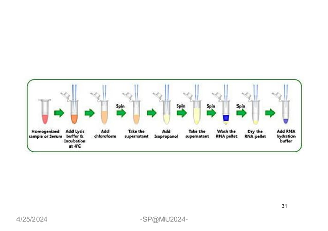 2-Isolation, Extraction and Purification of Nucleic acids.pdf