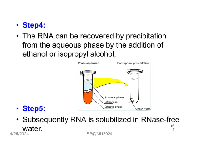 2-Isolation, Extraction and Purification of Nucleic acids.pdf