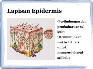 jenis kulit dan produksi | PDF