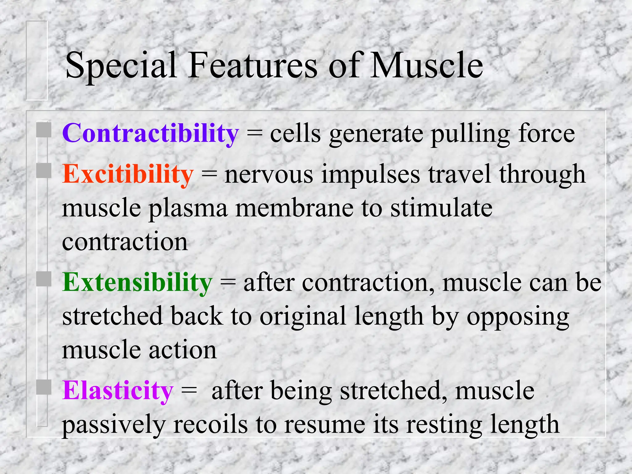 2 - Joints and Muscles Anatomy Grays.ppt