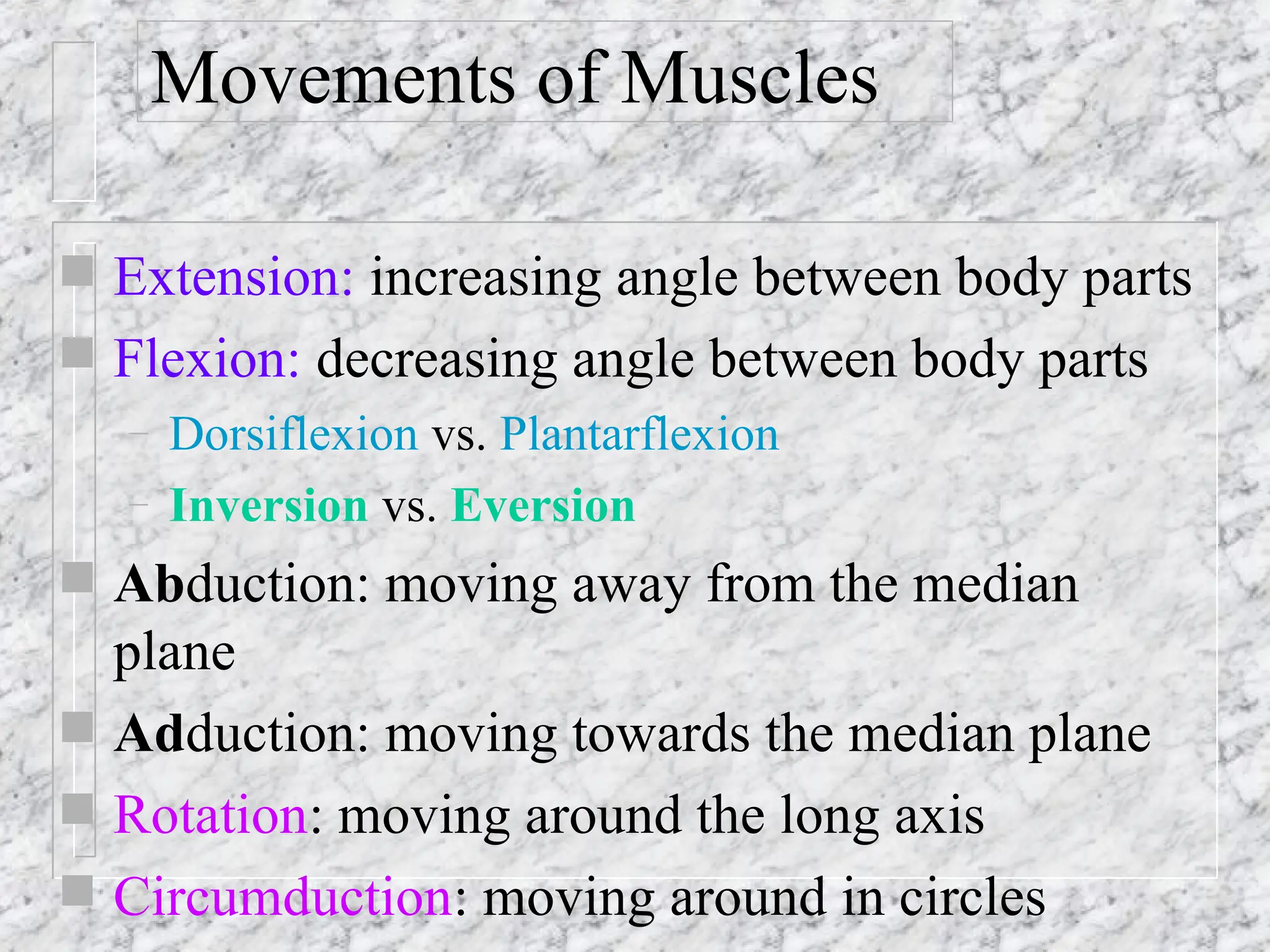 2 - Joints and Muscles Anatomy Grays.ppt