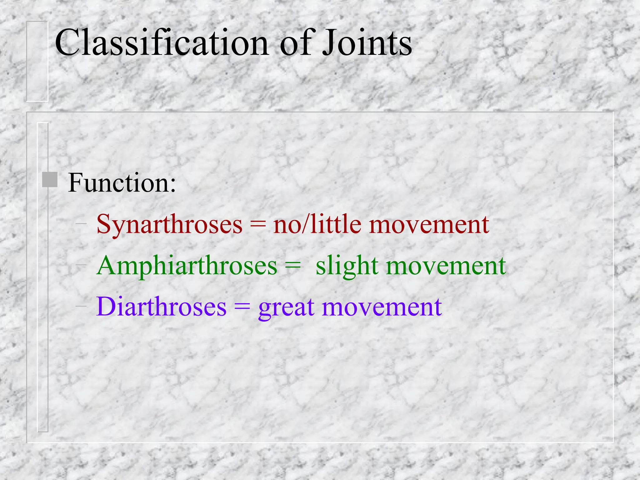 2 - Joints and Muscles Anatomy Grays.ppt
