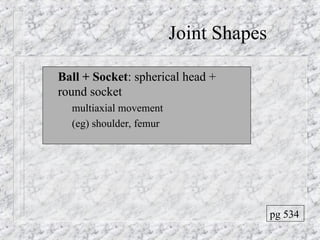 2 - Joints and Muscles Anatomy Grays.ppt