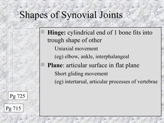 2 - Joints and Muscles Anatomy Grays.ppt